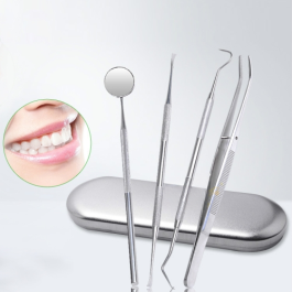 9 In 1 Stainless Steel Dentist Tools Set