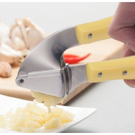 Stainless Steel Crush Garlic Tool with Plastic Handle